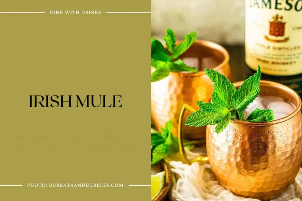27 Jameson St Patrick's Day Cocktails to Get Your Irish Up ...
