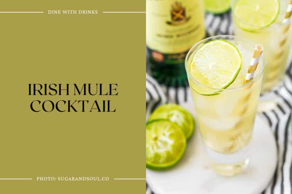 27 Jameson St Patrick's Day Cocktails to Get Your Irish Up ...