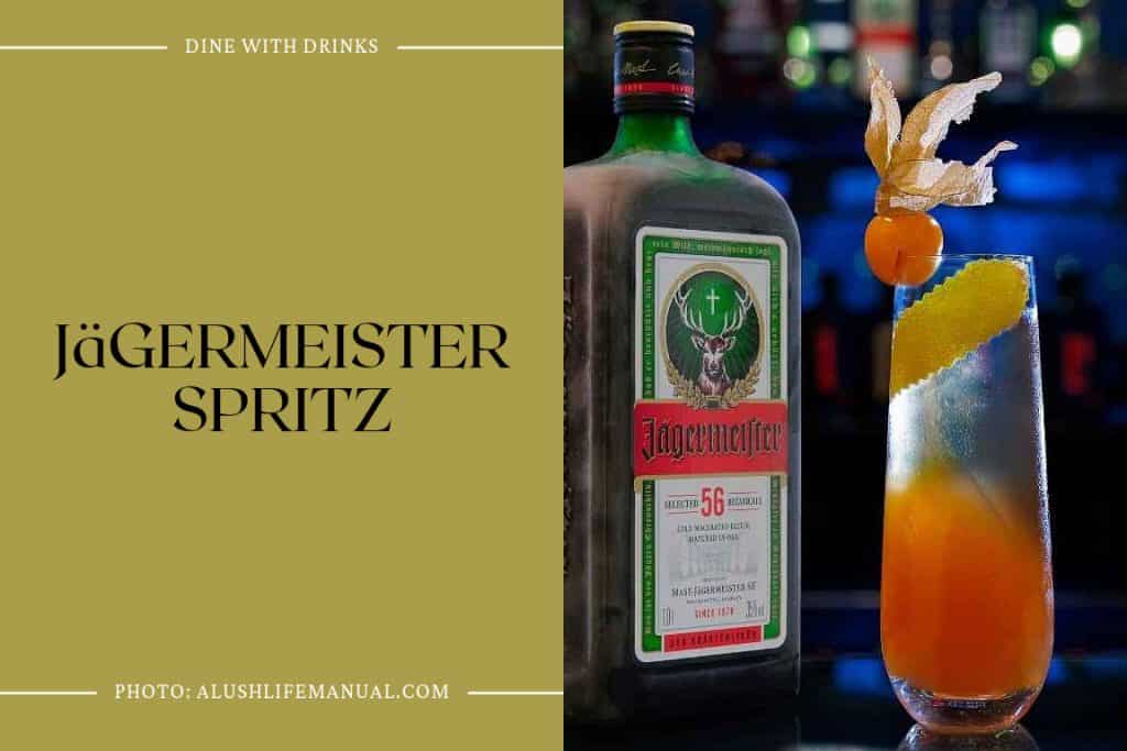 32 Summer Spritz Cocktails to Quench Your Thirst in Style! | DineWithDrinks