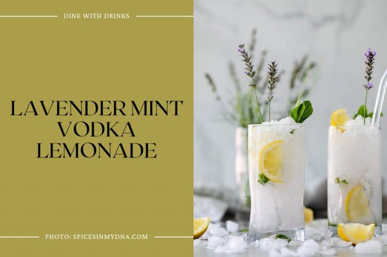 30 Mint and Vodka Cocktails to Freshen Up Your Happy Hour! | DineWithDrinks