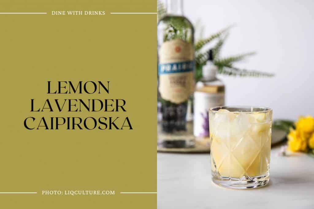 26 Vodka and Lemon Cocktails to Sip, Savor, and Swirl! | DineWithDrinks