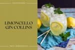 28 Gin Lime Cocktails to Shake Up Your Summer | DineWithDrinks