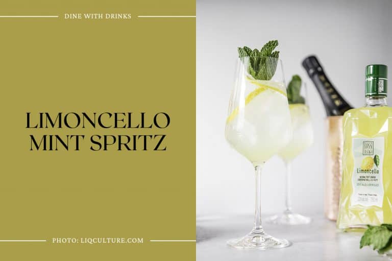 28 Lemon Mint Cocktails to Freshen Up Your Summer Sipping! | DineWithDrinks