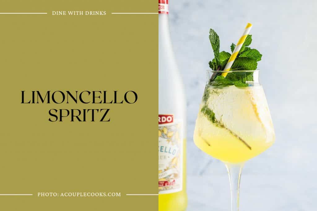 36 Spritzer Cocktails That Will Fizz Up Your Life! | DineWithDrinks