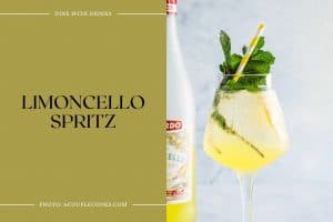 36 Spritzer Cocktails That Will Fizz Up Your Life! | DineWithDrinks