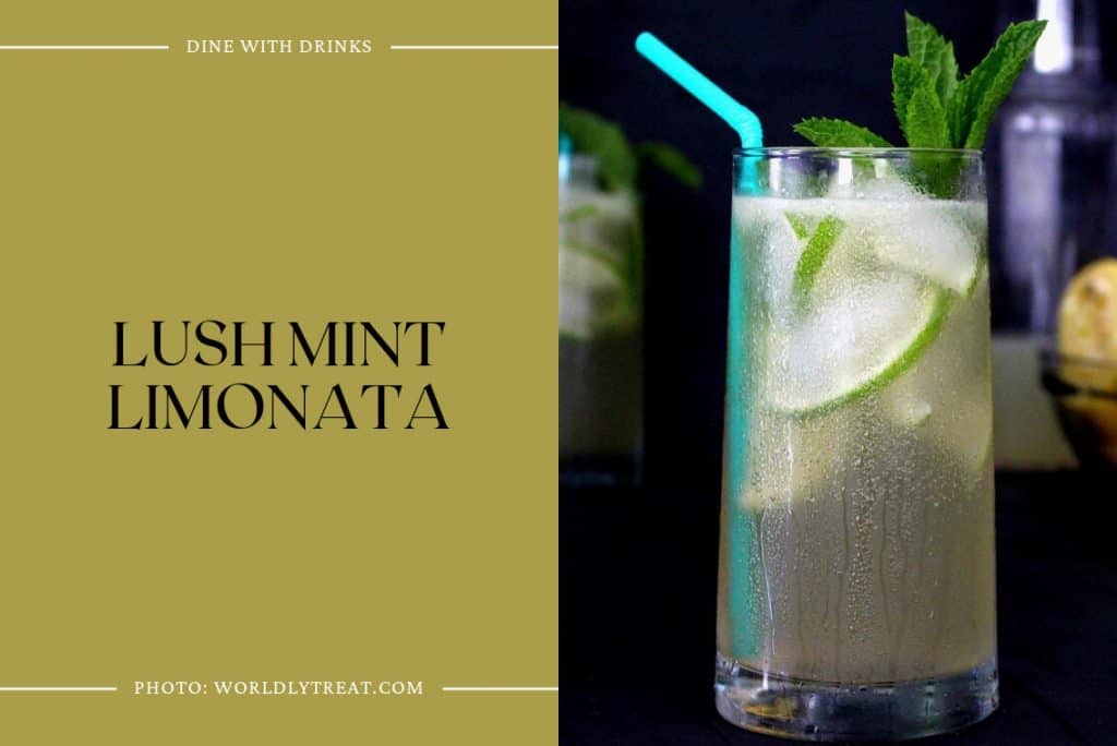 30 Mint and Vodka Cocktails to Freshen Up Your Happy Hour! | DineWithDrinks