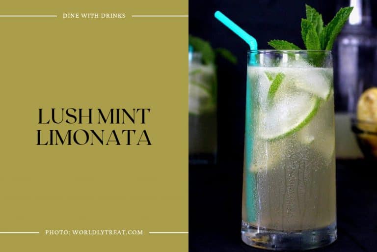 30 Mint and Vodka Cocktails to Freshen Up Your Happy Hour! | DineWithDrinks