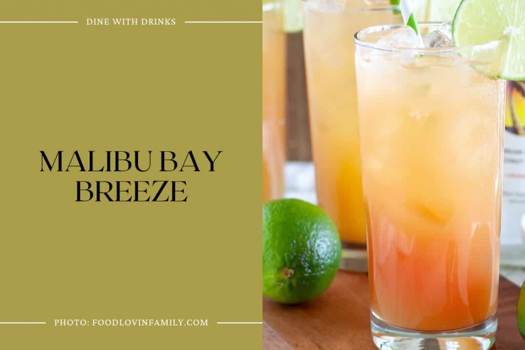26 Big Batch Tropical Cocktails to Tiki Up Your Party! | DineWithDrinks