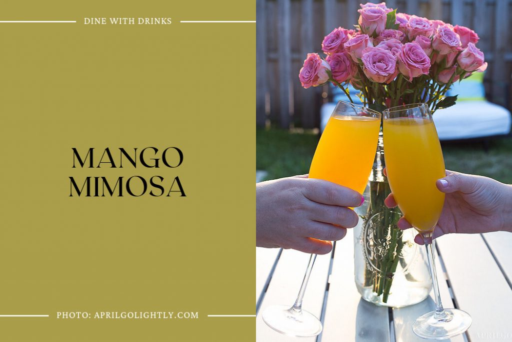 34 Mimosa Cocktails to Sip and Savor: A Bubbly Adventure! | DineWithDrinks