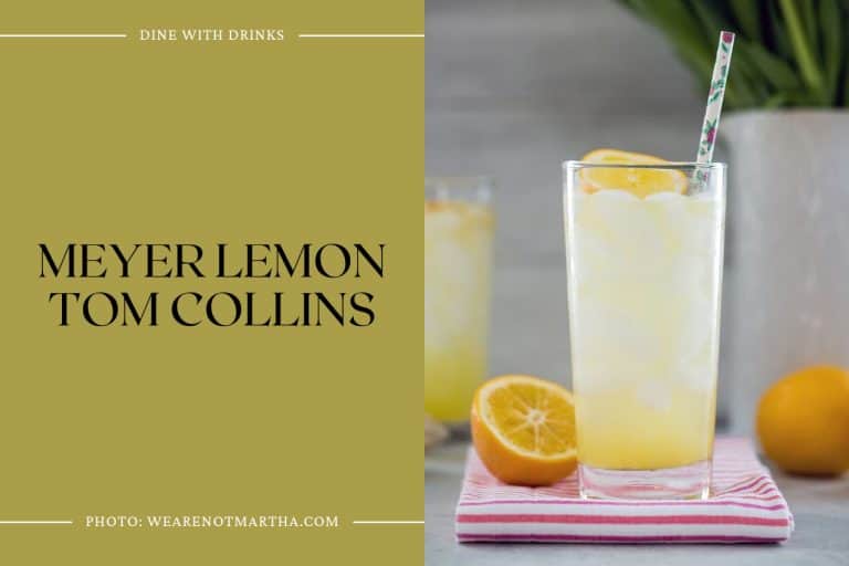 20 Collins Cocktails You Need to Sip and Savor | DineWithDrinks
