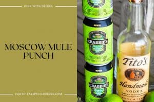 28 Ginger Beer Vodka Cocktails to Spice Up Your Life! | DineWithDrinks