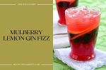 4 Mulberry Gin Cocktails to Shake Up Your Summer Nights | DineWithDrinks