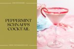 32 Best Peppermint Schnapps Cocktails | DineWithDrinks