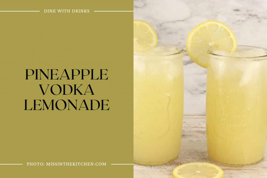 37 Batch Vodka Cocktails to Shake up Your Party Scene! | DineWithDrinks