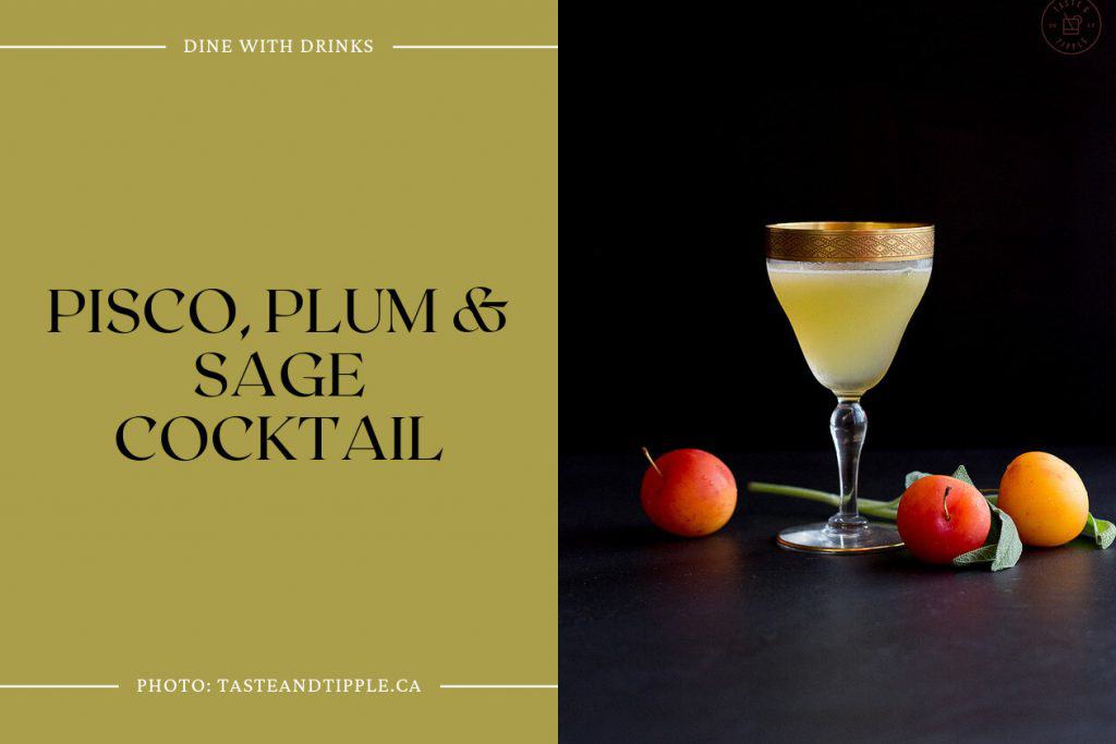 23 Plum Cocktails That Will Have You Feeling Extra Juicy! | DineWithDrinks