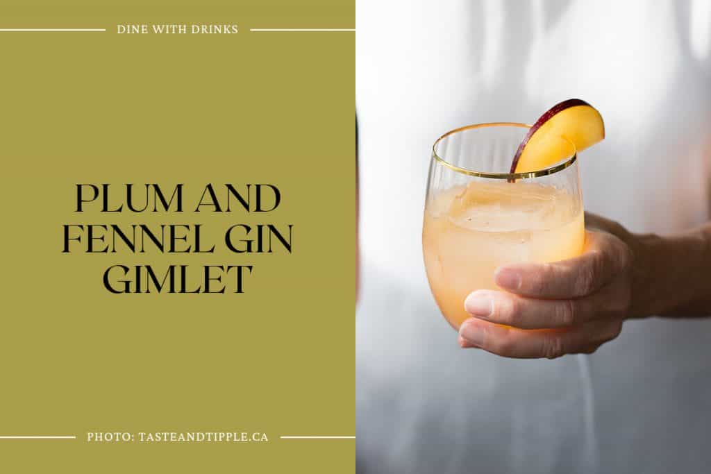 23 Plum Cocktails That Will Have You Feeling Extra Juicy! | DineWithDrinks