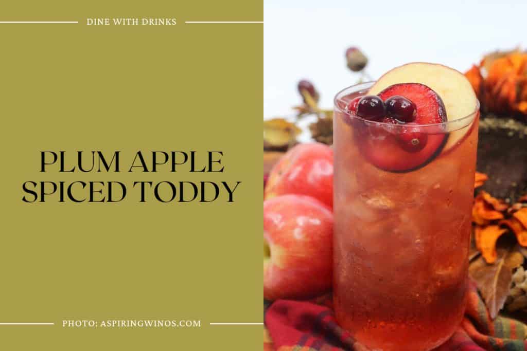 23 Plum Cocktails That Will Have You Feeling Extra Juicy! | DineWithDrinks