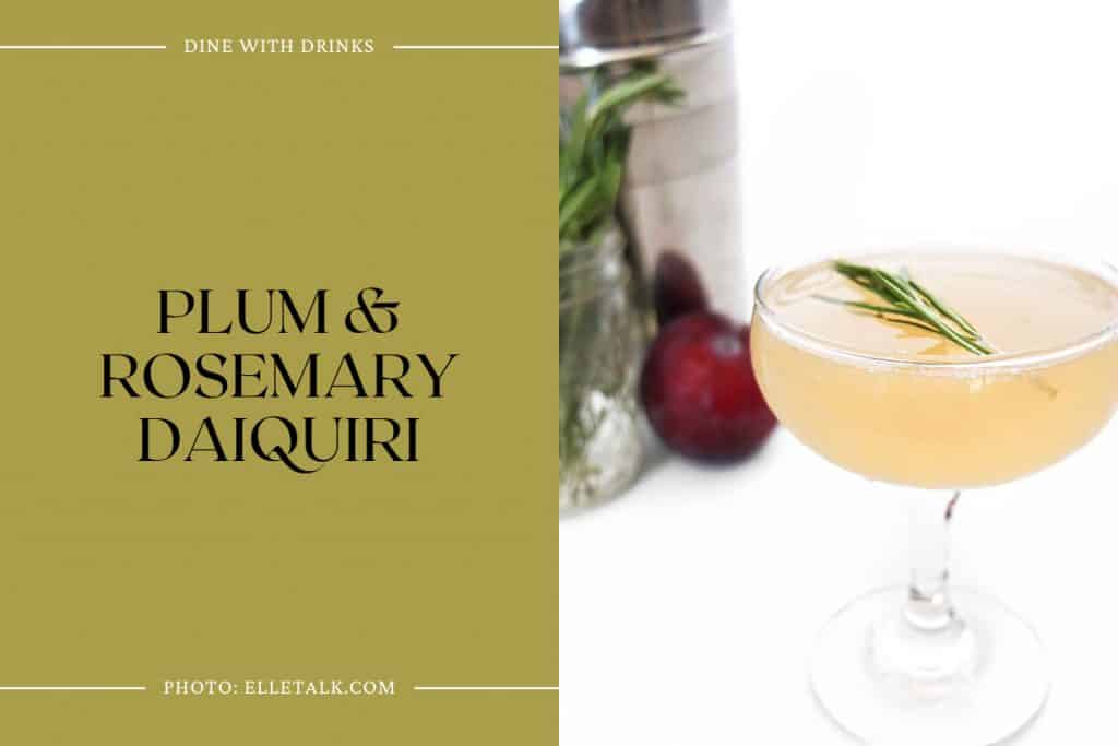 23 Plum Cocktails That Will Have You Feeling Extra Juicy! | DineWithDrinks