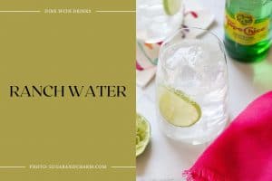 10 Topo Chico Cocktails to Shake Up Your Summer! | DineWithDrinks