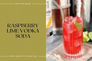 20 Vodka Soda Cocktails to Sip in Style this Summer | DineWithDrinks