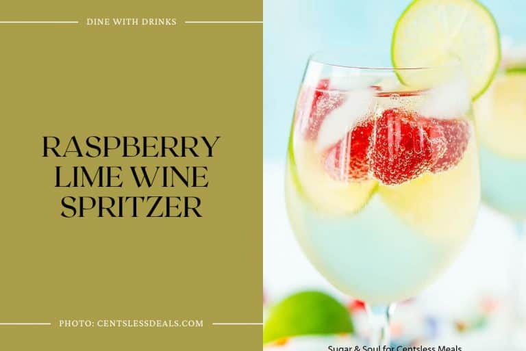30 Wine Spritzer Cocktails to Sip Your Way Through Summer! | DineWithDrinks