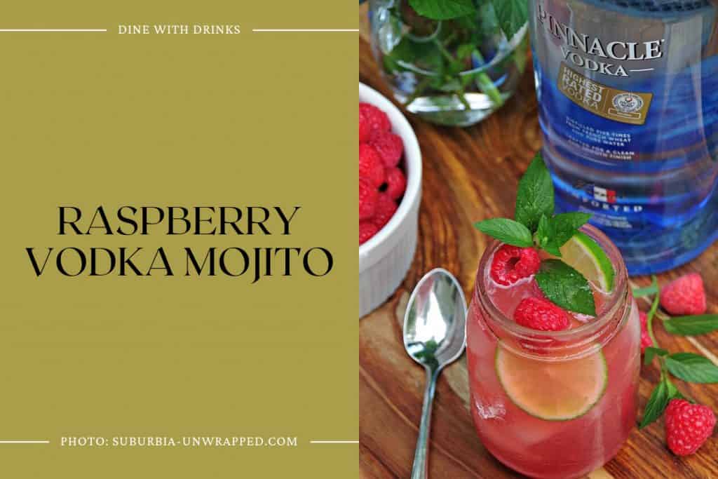 30 Vodka Refreshing Cocktails to Shake Up Your Summer! | DineWithDrinks