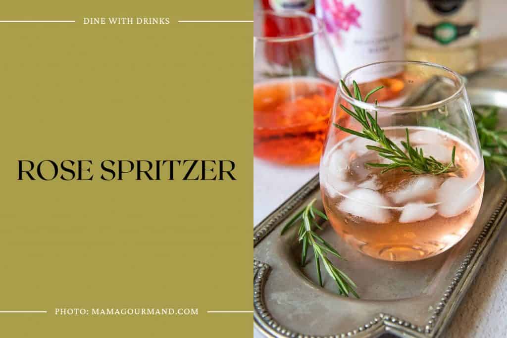 36 Spritzer Cocktails That Will Fizz Up Your Life! | DineWithDrinks