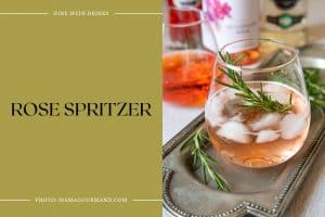 36 Spritzer Cocktails That Will Fizz Up Your Life! | DineWithDrinks