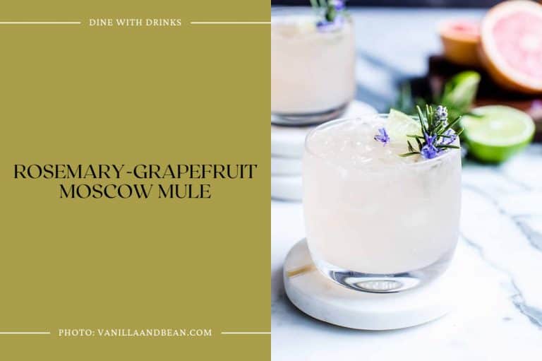 28 Ginger Beer Vodka Cocktails to Spice Up Your Life! | DineWithDrinks