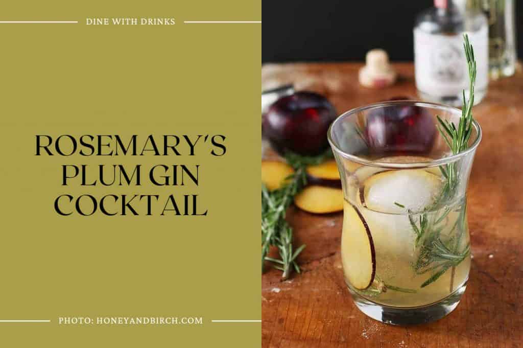 23 Plum Cocktails That Will Have You Feeling Extra Juicy! | DineWithDrinks
