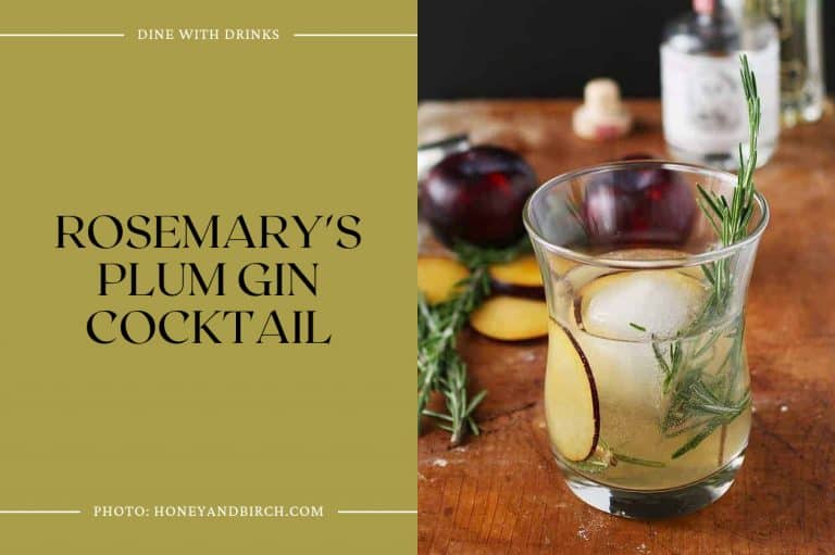 23 Plum Cocktails That Will Have You Feeling Extra Juicy! | DineWithDrinks