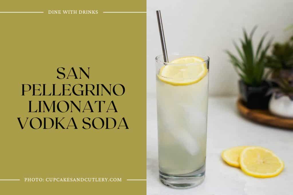 26 Vodka and Lemon Cocktails to Sip, Savor, and Swirl! | DineWithDrinks