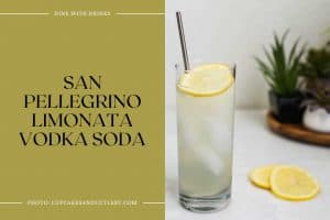 26 Vodka and Lemon Cocktails to Sip, Savor, and Swirl! | DineWithDrinks