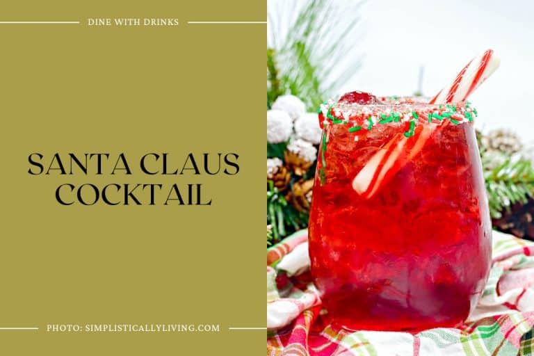 19 Santa Cocktails to Get You in the Holly Jolly Spirit! | DineWithDrinks