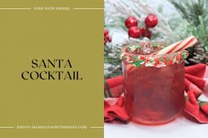 19 Santa Cocktails to Get You in the Holly Jolly Spirit! | DineWithDrinks