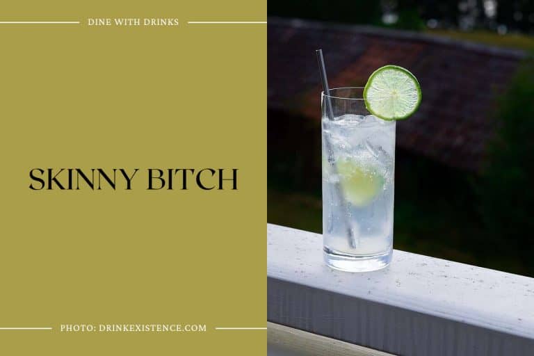23 Skinny Vodka Cocktails to Shake Up Your Happy Hour! | DineWithDrinks