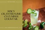 19 Cilantro Cocktails to Spice Up Your Nightlife! | DineWithDrinks