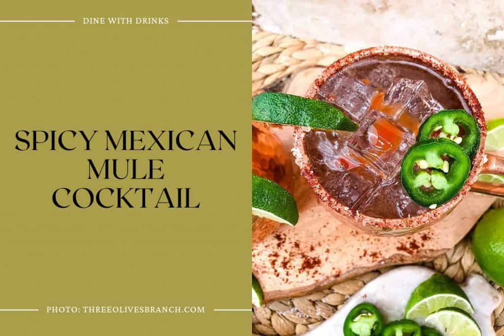15 Tequila Mule Cocktails to Shake Up Your Happy Hour! | DineWithDrinks