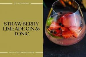 13 Juniper Gin Cocktails That Will Shake Up Your World! | DineWithDrinks