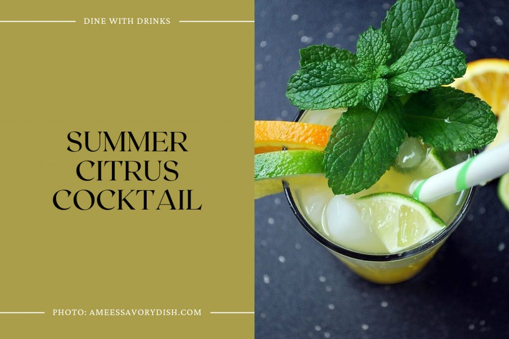 29 Summer Citrus Cocktails to Sip on a Sunny Day! | DineWithDrinks