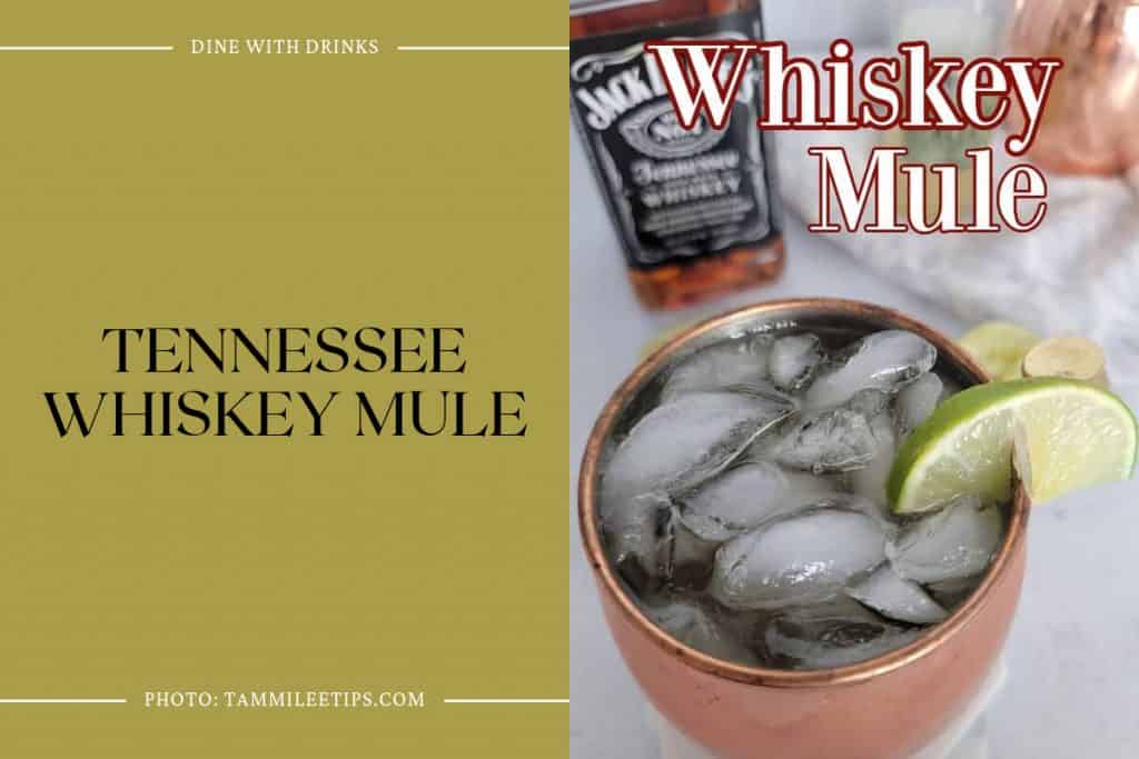 13 Tennessee Whiskey Cocktails to Shake Up Your Nights! | DineWithDrinks