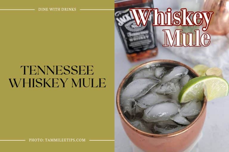 13 Tennessee Whiskey Cocktails to Shake Up Your Nights! | DineWithDrinks