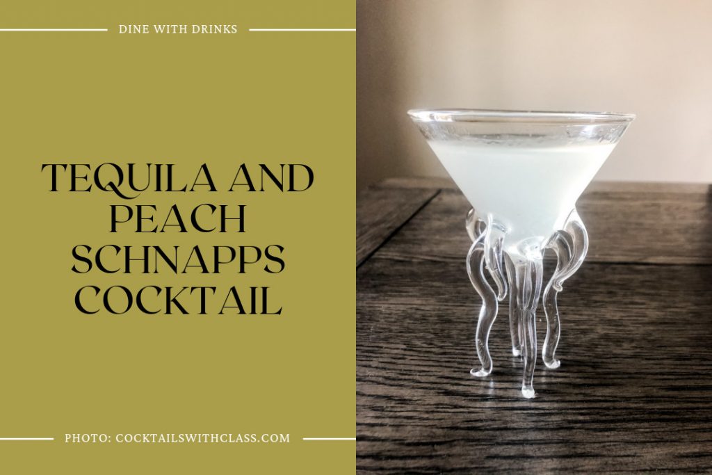 22 Tequila Peach Cocktails to Shake Up Your Summer! | DineWithDrinks