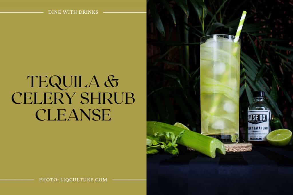 27 Shrub Cocktails that Will Leave Your Taste Buds Tingling ...