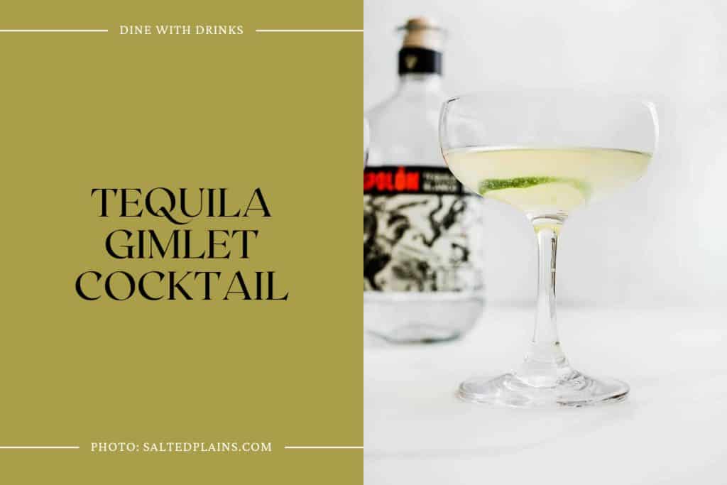 6 Silver Cocktails That Will Make Your Happy Hour Shine! | DineWithDrinks