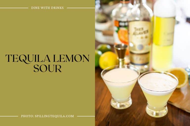 34 Lemon Sour Mix Cocktails to Sip on this Summer! | DineWithDrinks