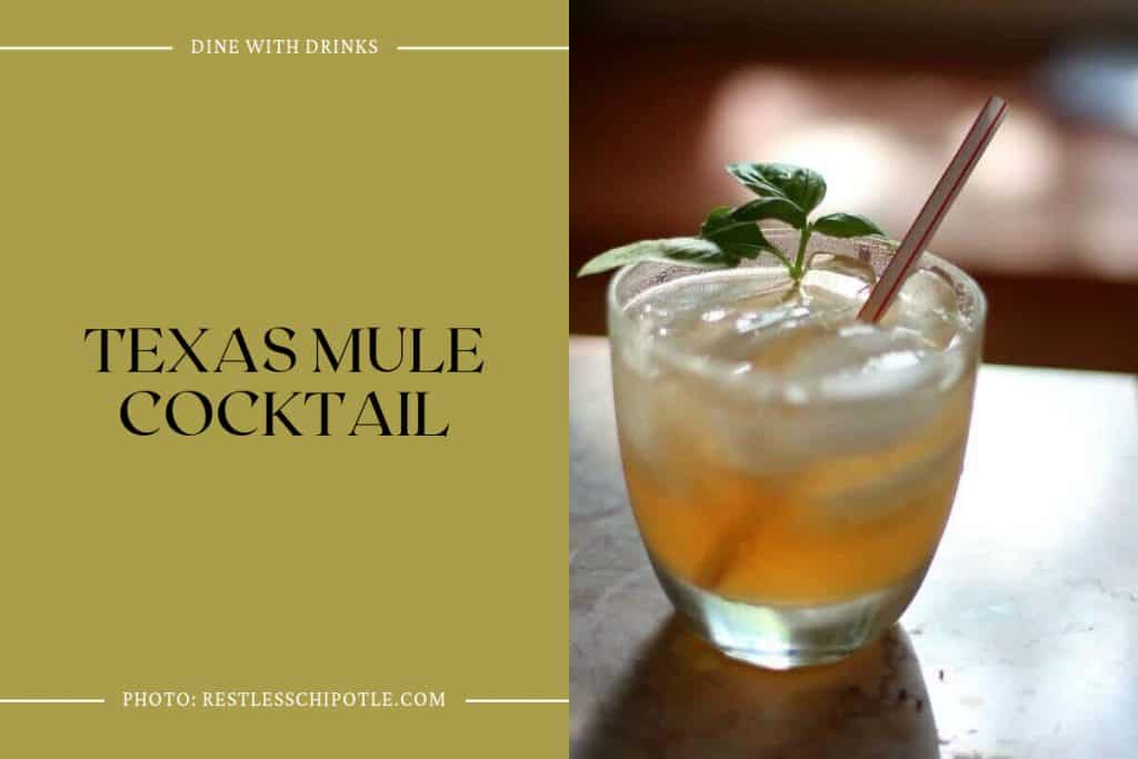 4 Texas Signature Cocktails That Pack a Southern Punch! | DineWithDrinks