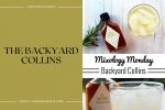 20 Collins Cocktails You Need to Sip and Savor | DineWithDrinks