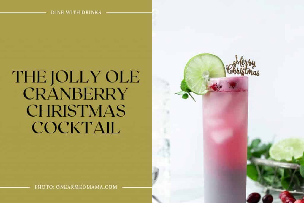 37 Cranberry Christmas Cocktails that Will Jingle Your Bells ...