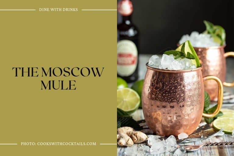 28 Ginger Beer Vodka Cocktails to Spice Up Your Life! | DineWithDrinks